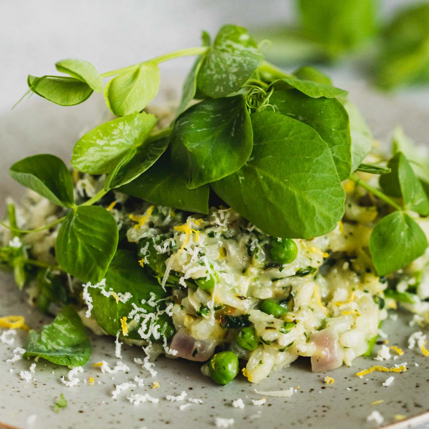 Grøn risotto med squash, ærter og citron | Vestjyske Delikatesser
